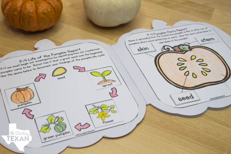 Pumpkin Investigation Unit - The Teaching Texan